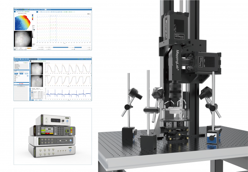 Optical Mapping Systems | Cardiac EP Mapping Software | ZC Analytics